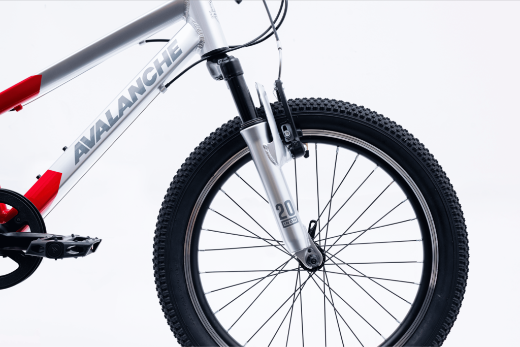 Avalanche Buzz Boys 20inch
