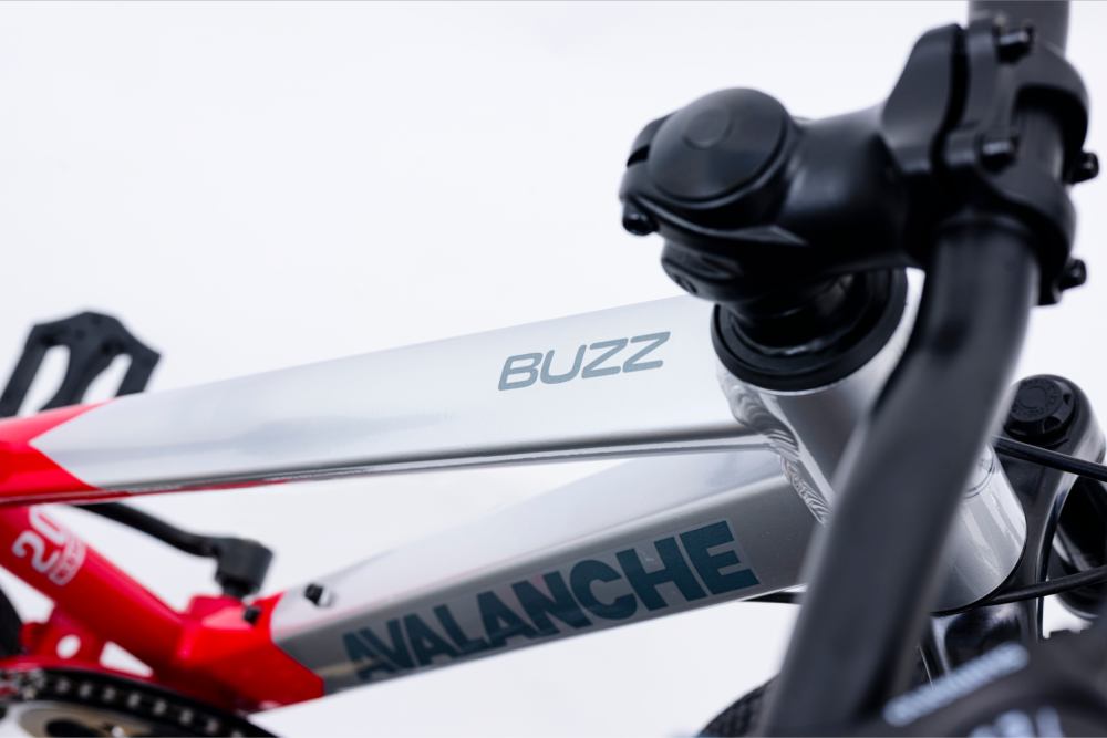 Avalanche Buzz Boys 20inch